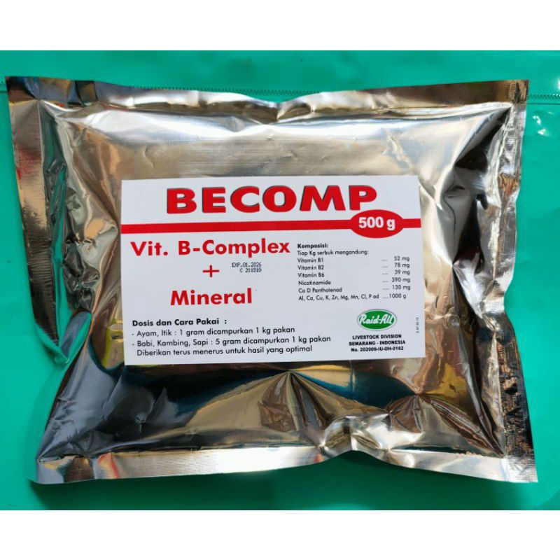 BECOMP RAID ALL 500 GRAM VITAMIN B COMPLEX PLUS MINERAL VIT B FOR ...
