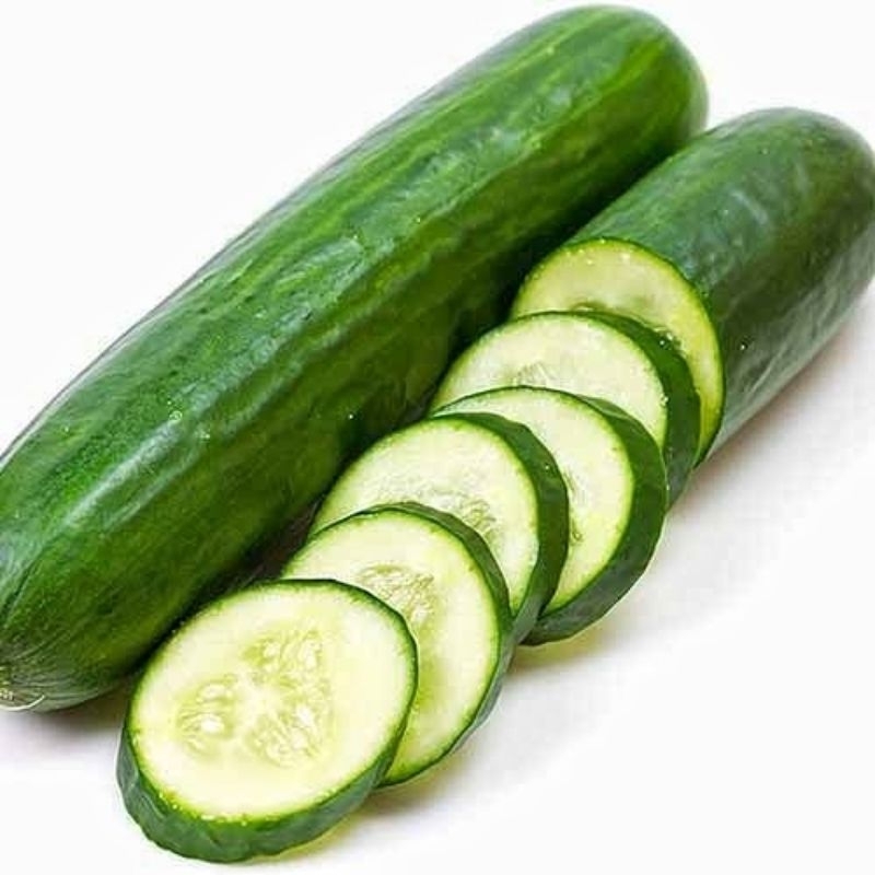 REPLIKA Replica of cucumber fruit slices / Cucumber vegetable replica ...