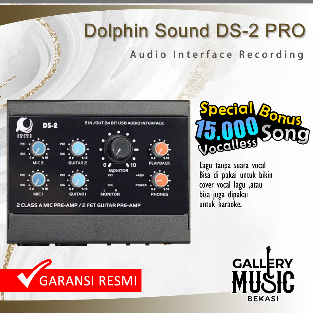 Dolphin Sound DS 2 PRO Soundcard Audio Interface Recording ISK DS2 PRO ...
