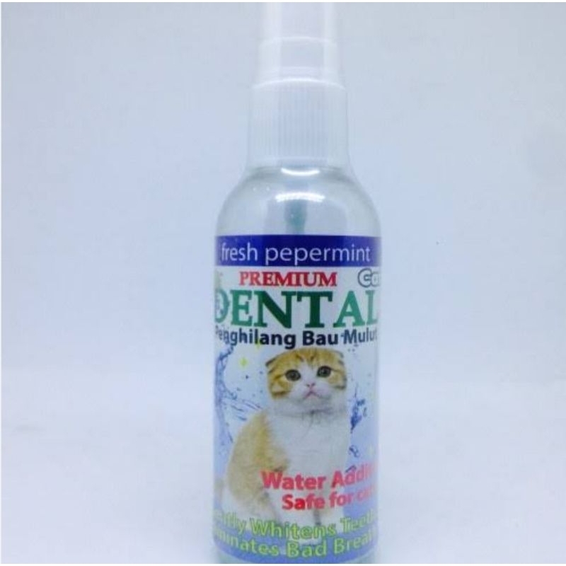Dental Cat Spray to Eliminate Cat Bad Breath, effective and safe ...