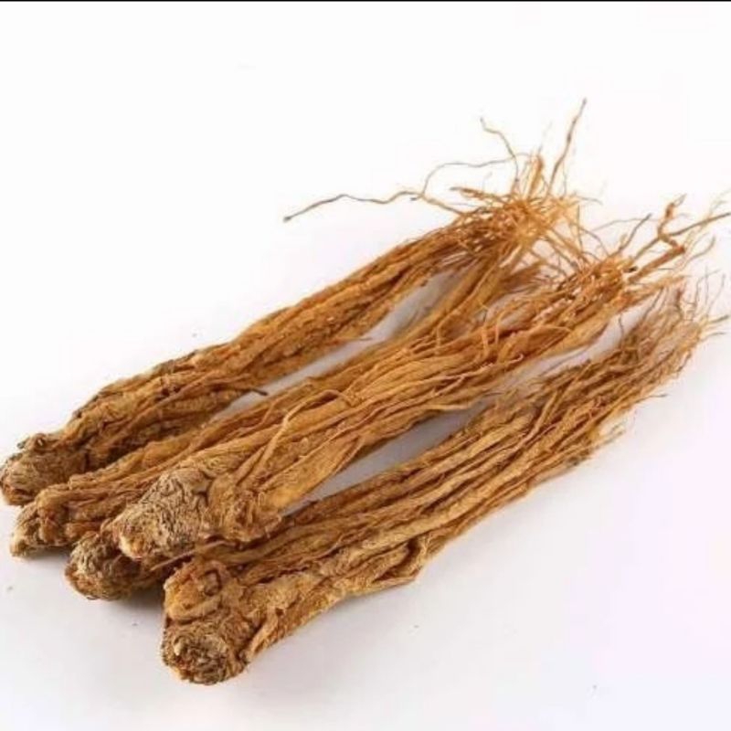 300 G GR GRAM DANG GUI WEI ANGELICA ROOT TAIL | Shopee Philippines