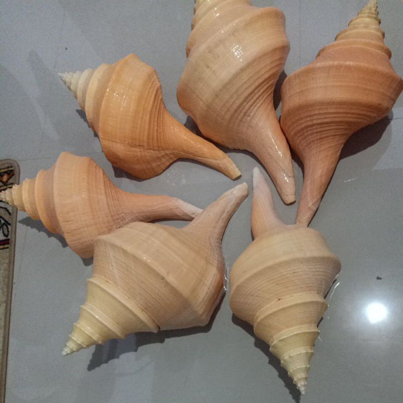 Big Shell/JUMBO Shell/SYRINK | Shopee Philippines