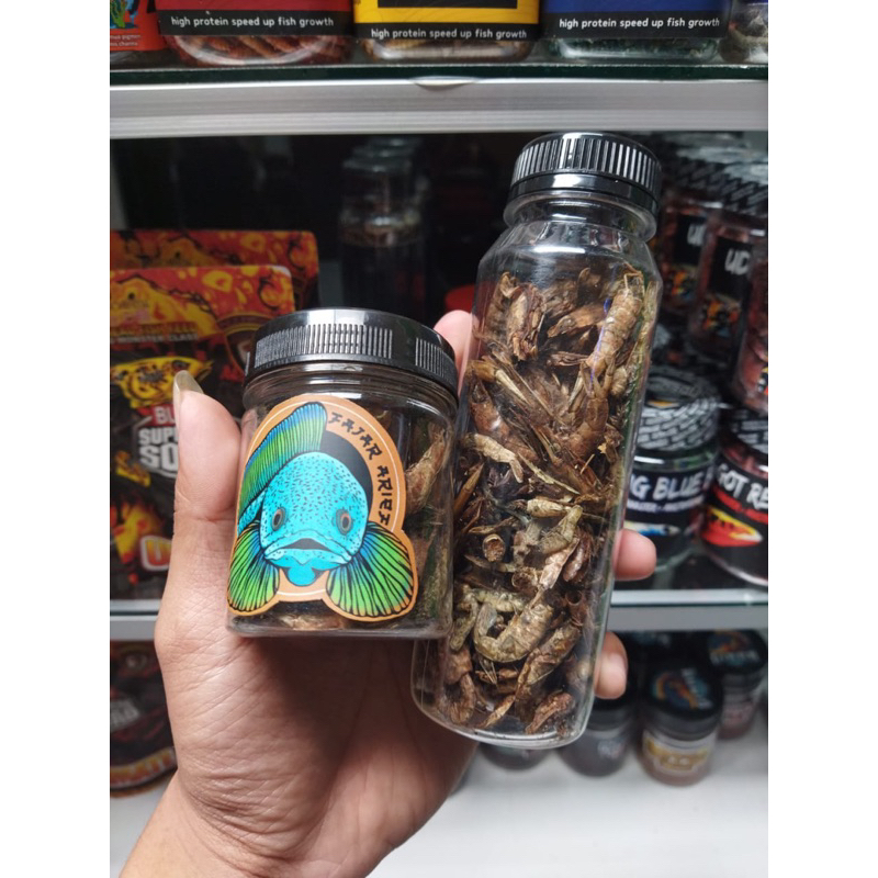 Original Fajar Arief Evil Shrimp (Economical packaging) | Shopee ...