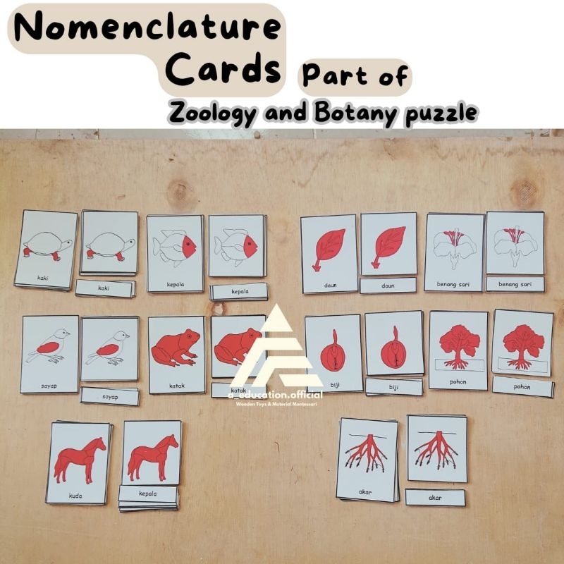 Nomenclature card zoology botany puzzle 3 part card montessori | Shopee ...
