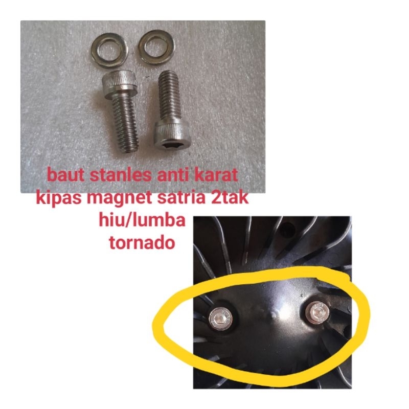 Raider 2 Stroke Magnetic Fan Bolts tornado Dolphin Shark Stainless ...