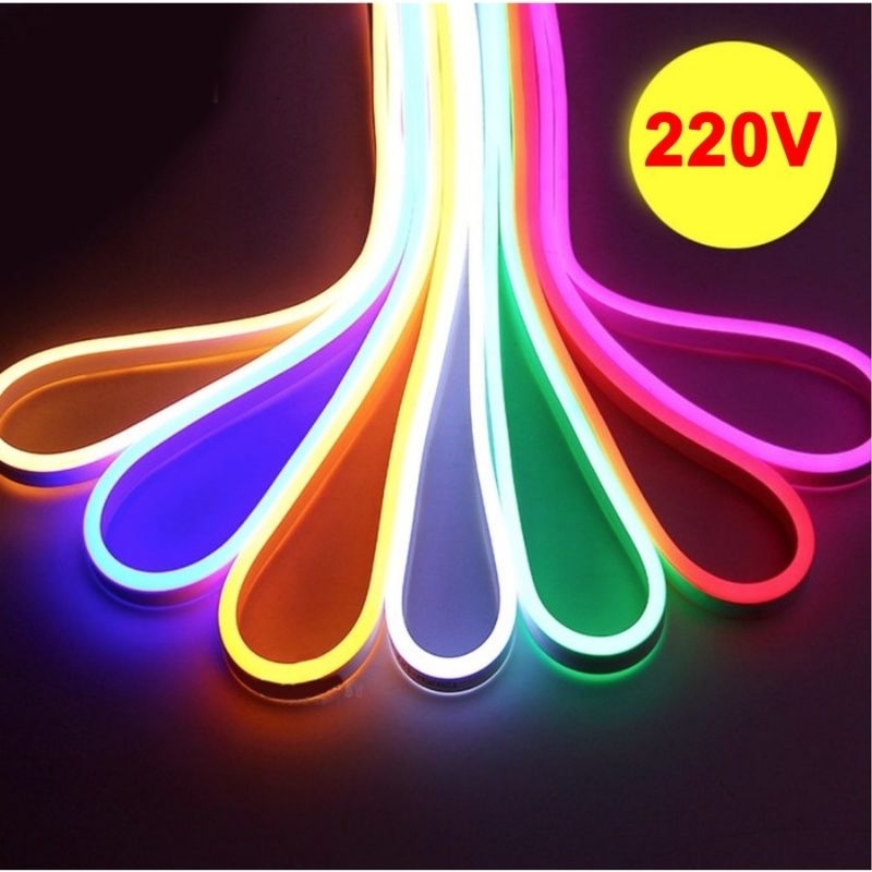 Neon Flex AC 220V Complete 1 meter - 5 meter package + Direct ...