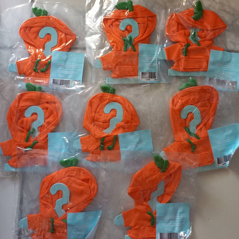 Mini SKZOO PLUSHIE CITRUS OUTFIT OFFICIAL STAY IN JEJU | Shopee Philippines