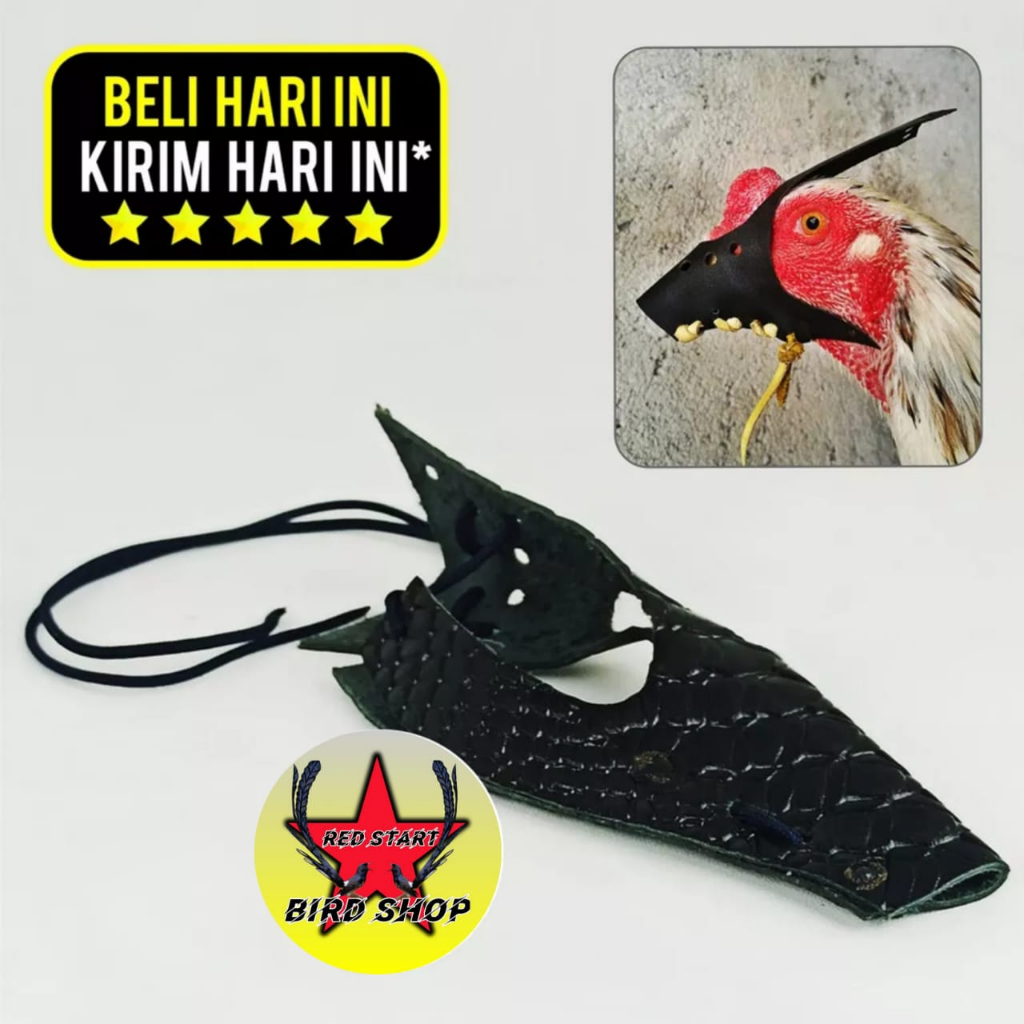 Protective Wrap Beak Bangkok Rooster Complaints Lid Cucuk Rooster ...