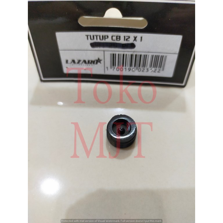 Carbon Brush Cap 12x1 14x1 LAZARO | Shopee Philippines