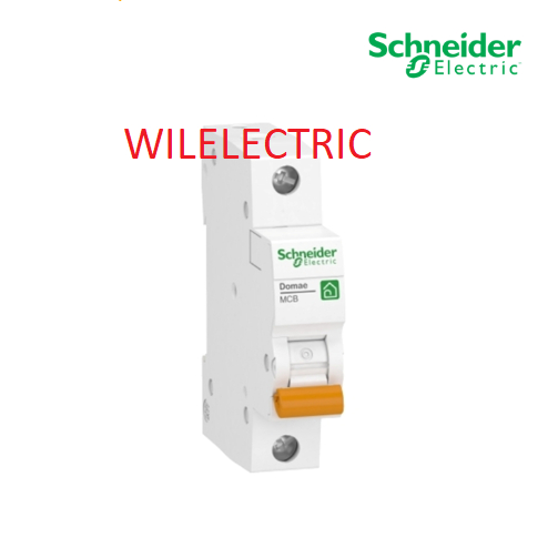 Mcb Schneider DOMAE 1 phase/1P 40A/40 A C40/C 40 Merlin Gerlin new 6 kA | Shopee Philippines