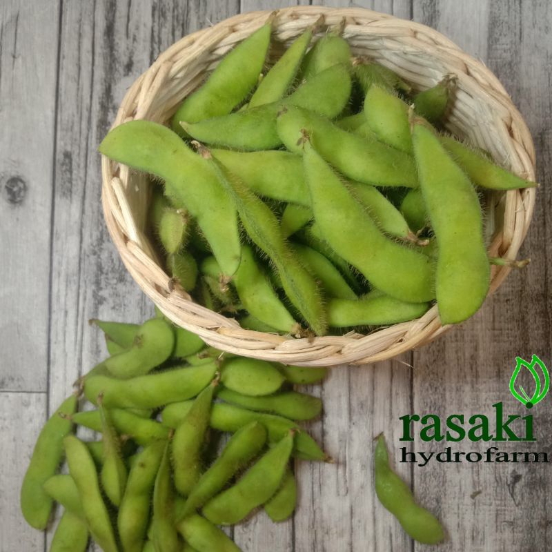Fresh edamame beans 500gr rasaki | Shopee Philippines
