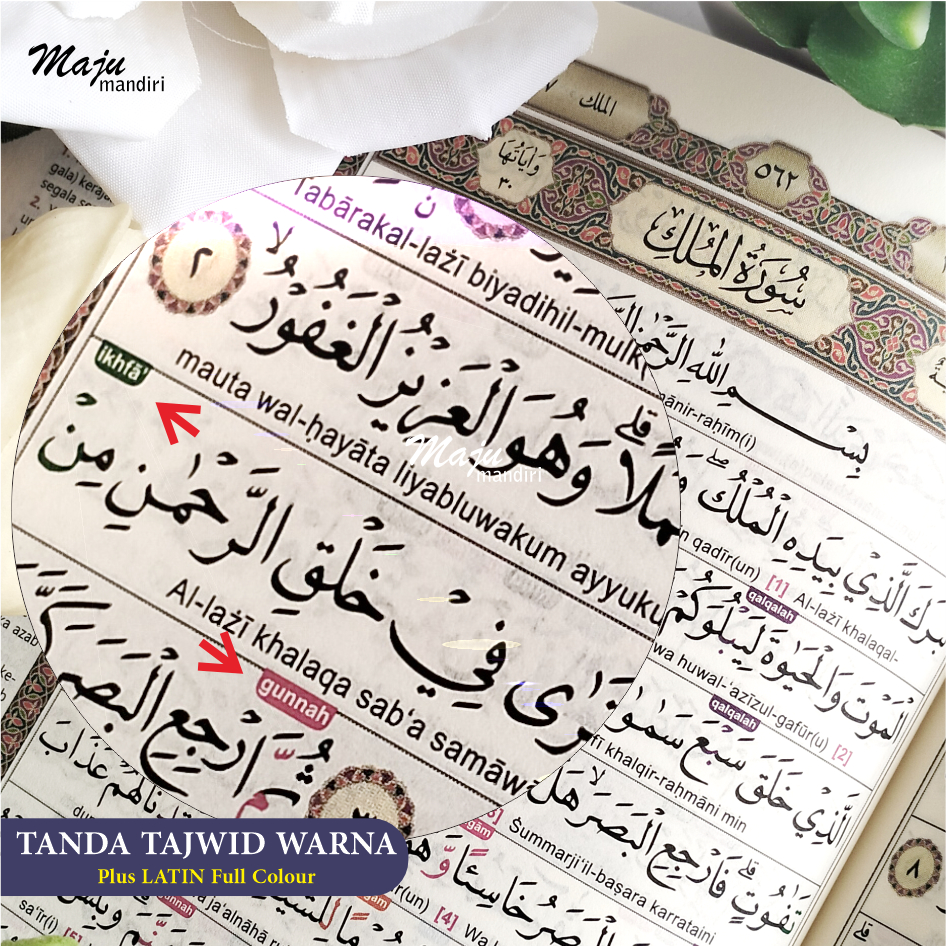 Mushaf Al-Karim Latin Quran Translation Tajwid Write Full Color 30 Juz ...