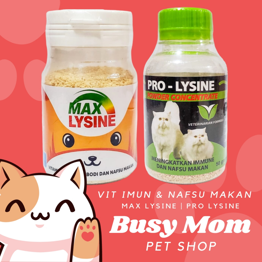 Pro Lysine | Max LYSINE 50g Vitamin Cat Immune Appetite Prolysine ...