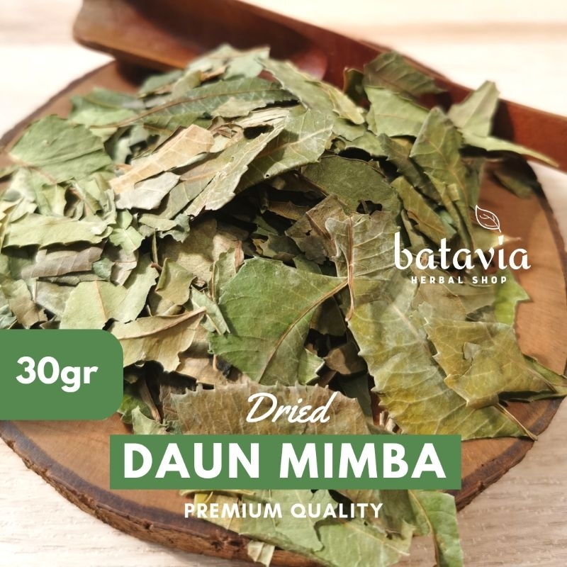 Dried Neem Leaves Intaran Neem Leaf Azadirachta indica Herbal Simplisia ...