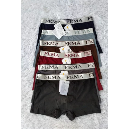 Fema 7728 Men's Boxer Panties Import Contents 12pcs) | Shopee Philippines