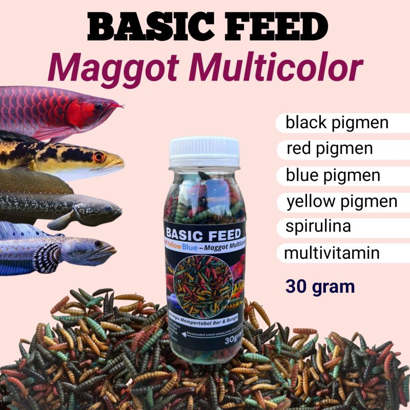 Maggot multicolor varian mix red yellow blue black 30gram Fish Feed ...