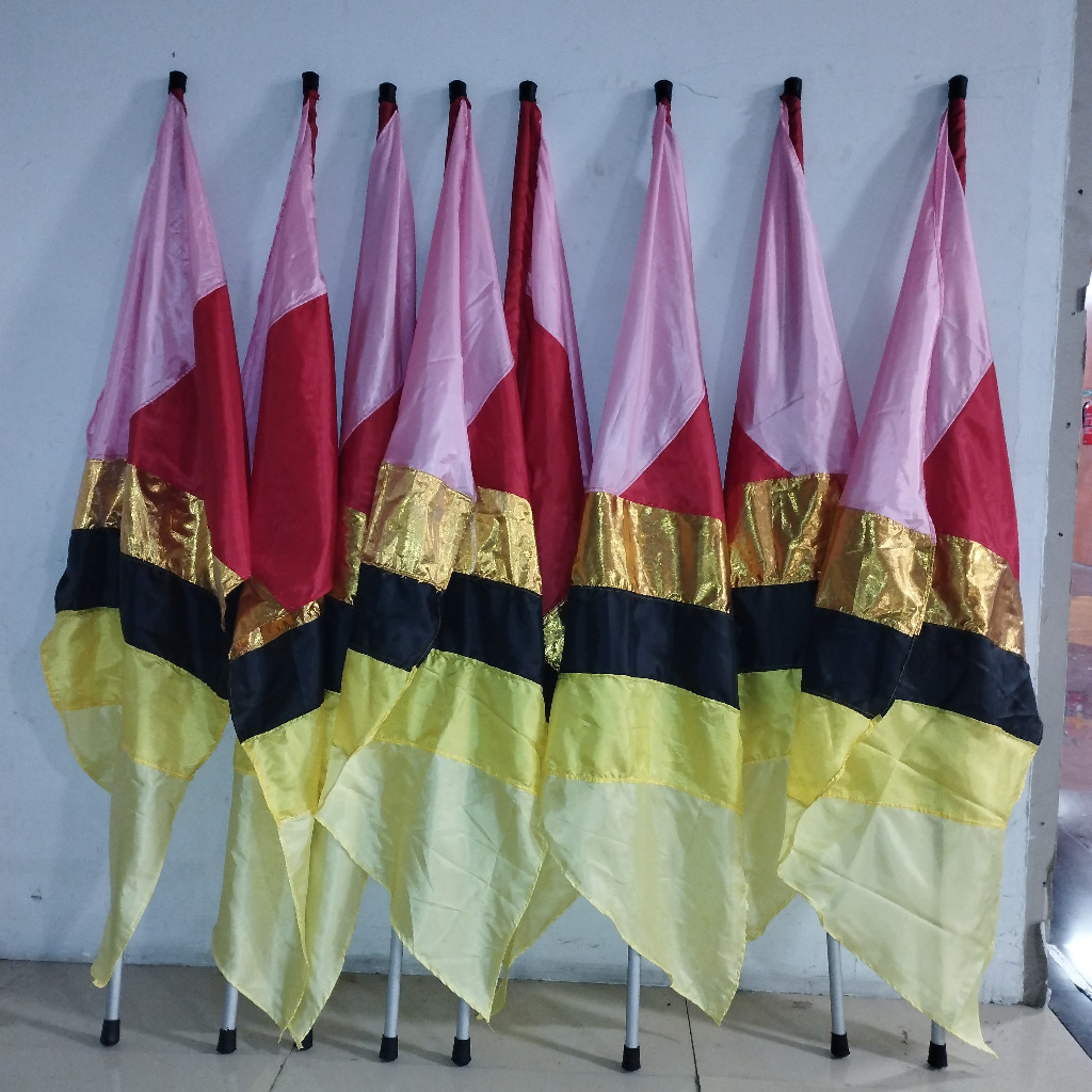 Drumband Flag Color Guard Marching Kindergarten SD SMP SMA Adult ...