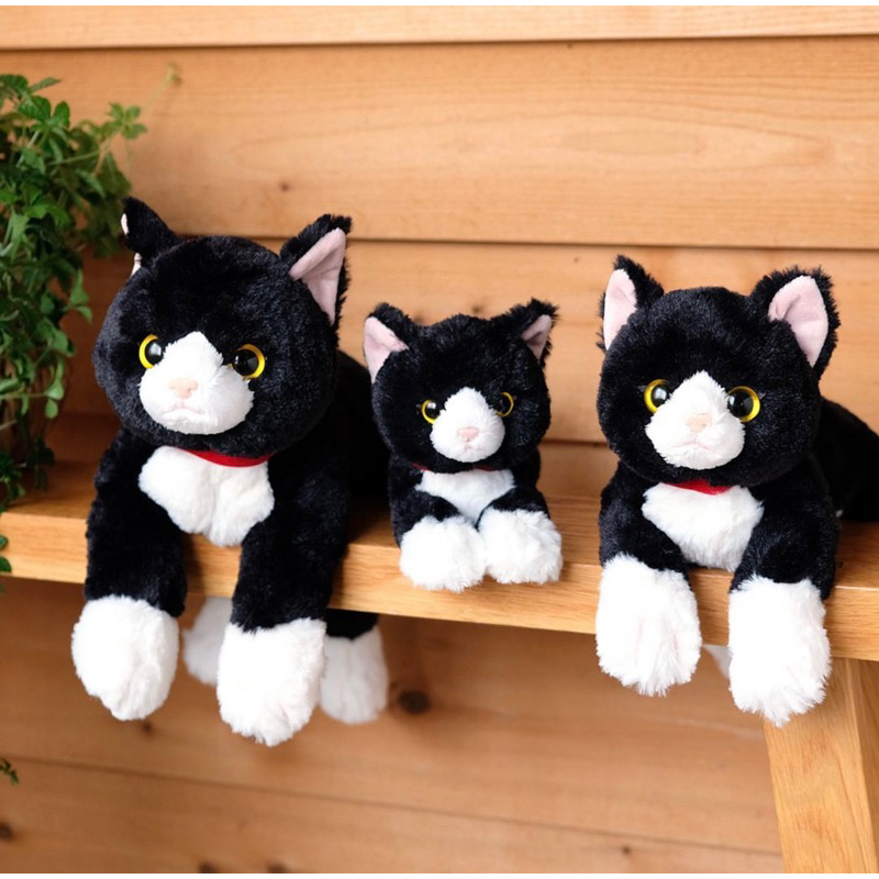 Graynite Sunlemon Cat Doll | Shopee Philippines