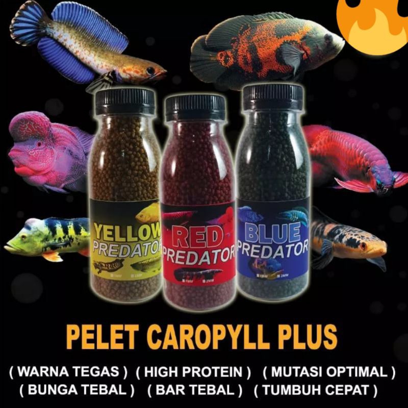 Premium chana fish pellets blue yellow red carophyll / chana pellets ...