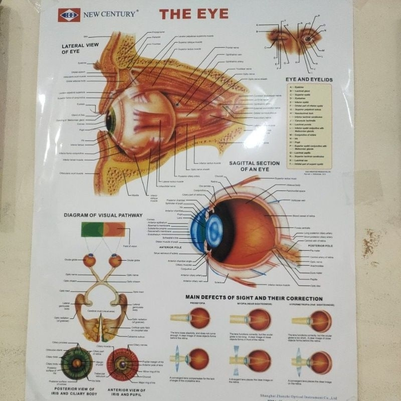 MATA Eye Poster/The Eye/English | Shopee Philippines