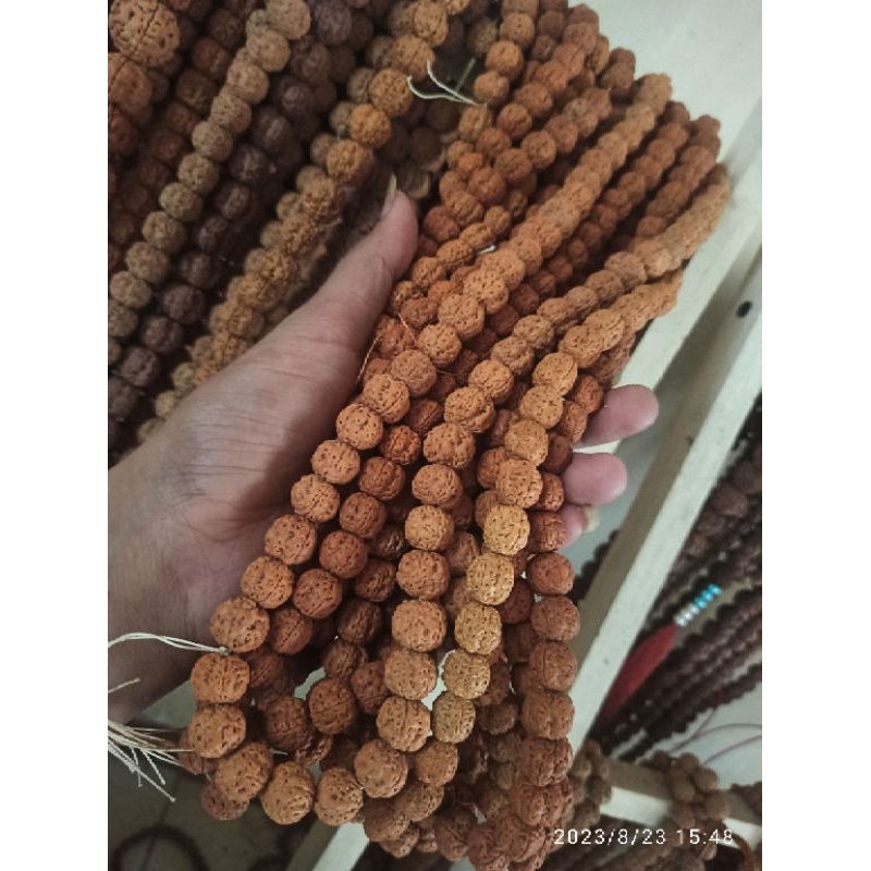 Jenitri 200 seeds have been perforated | Shopee Philippines