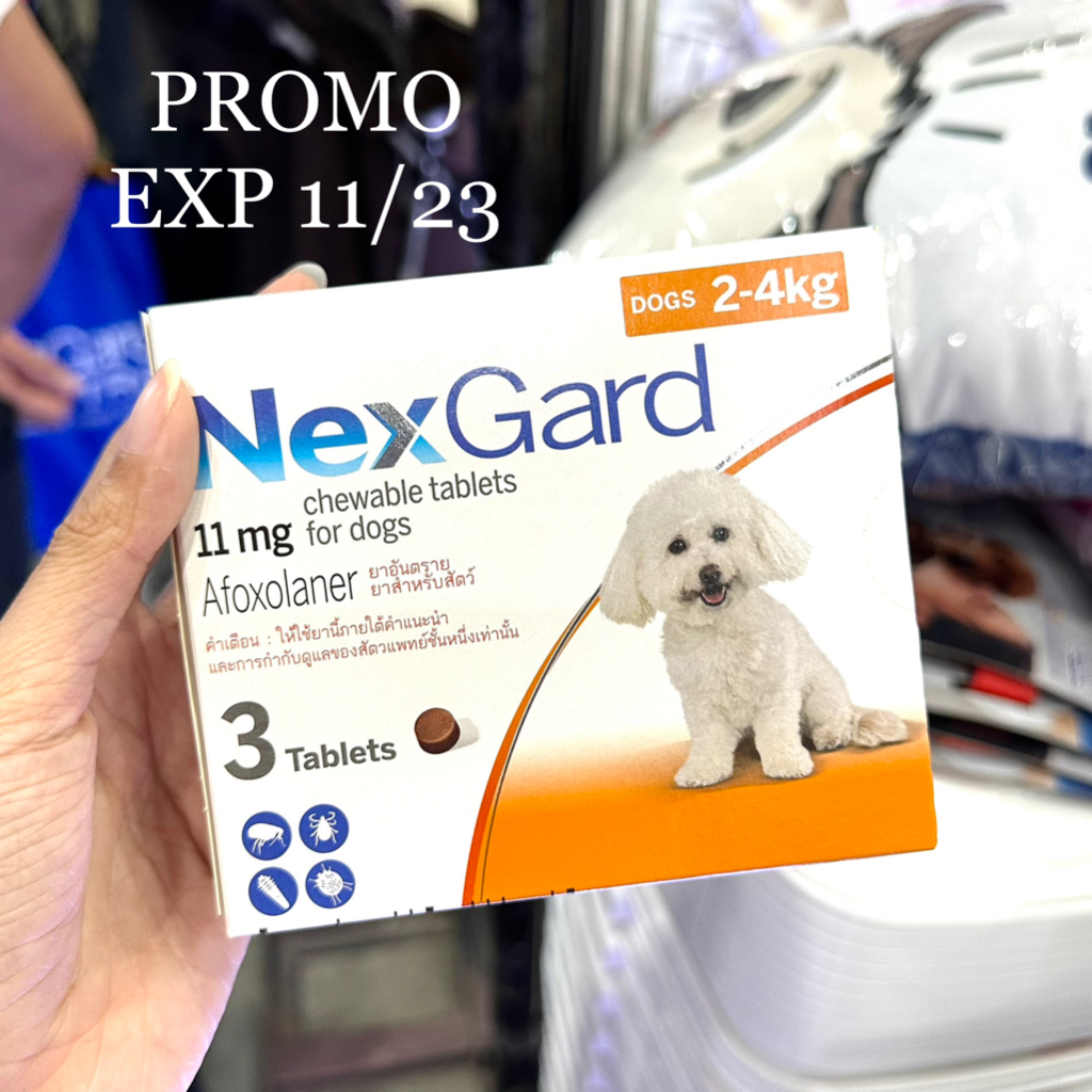 Nexgard Flea Medicine/Demodex/Dog Scabies 2-4kg Per Box 11mg Orange 1 ...