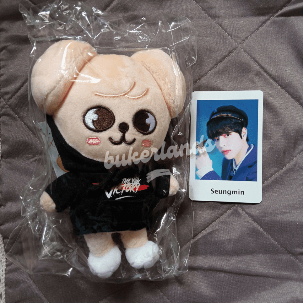 Skzoo MINI PLUSH PUPPYM SEUNGMIN | Shopee Philippines