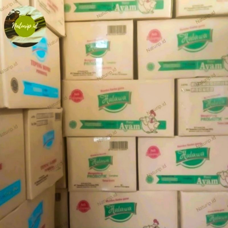 Halawa Cardboard/Halawa Dus (Can mix) | Shopee Philippines