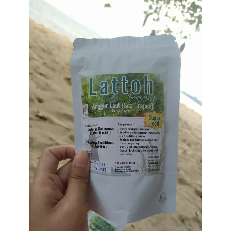 Vegan food Sea Grapes latoh deadted lawi lawi | Shopee Philippines