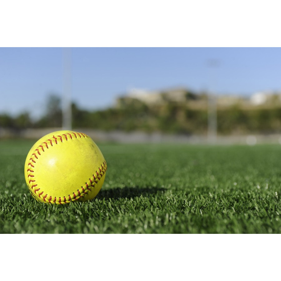 Plain Slowpitch Softball Ball Standard Spec Official | Shopee Philippines