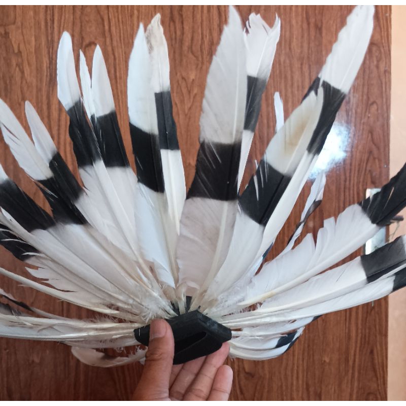 Kirip bulu/Dayak Traditional Dance Accessories (Price Is Already 1 Pair Left And Right 25 +25 ...