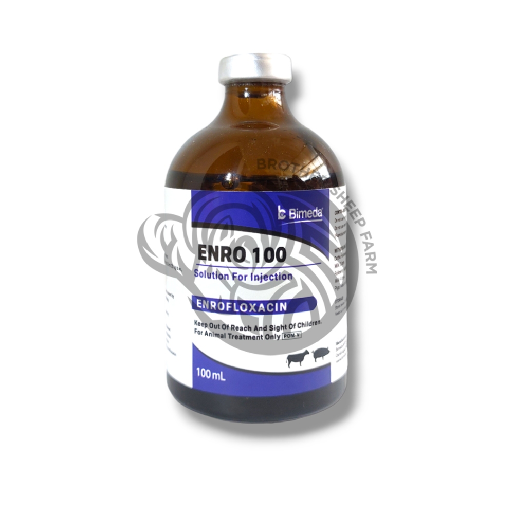 Enro 100enrofloxacin Antibiotic Breathing & Digestion Animal Cat Rabbit ...