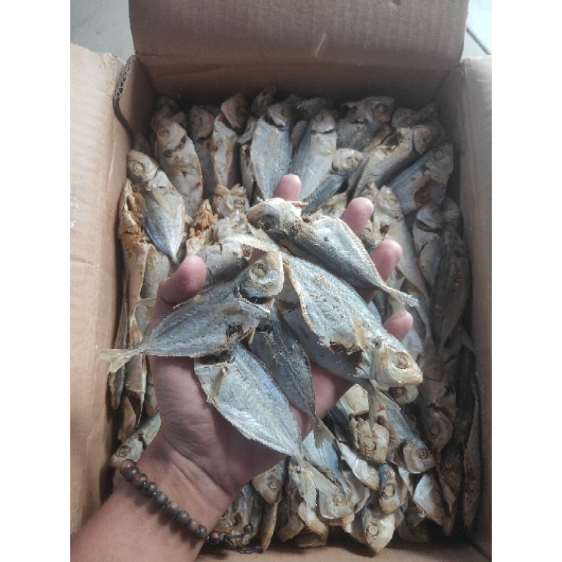 1kg PACKAGED SALTED SALTED FISH | Shopee Philippines