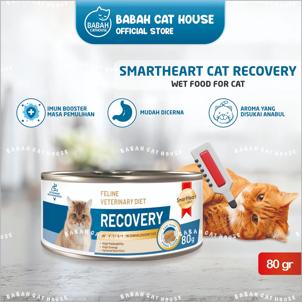 SMARTHEART CAT RECOVERY 80gr Can Wet CAT Food Wet Food Rc Can For ...