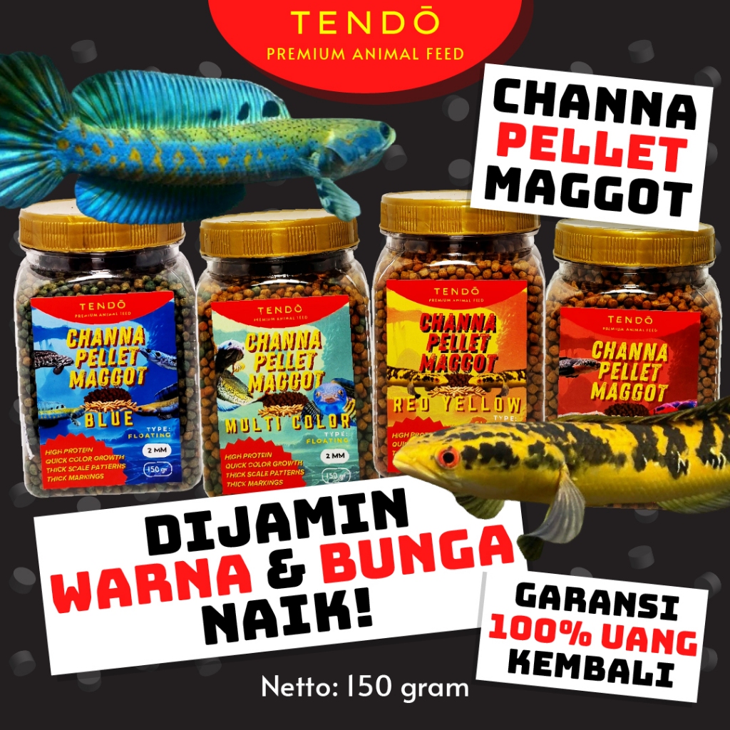 Chana Fish Feed Channa Maggot Pellets Dried Channa Tendo Fish Food ...