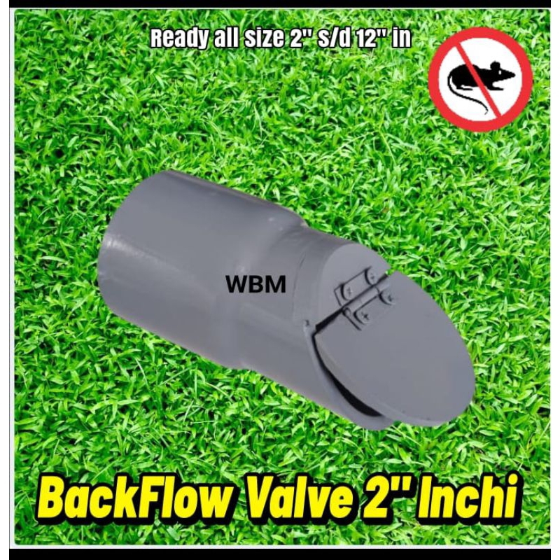 Backflow valve pvc 2 inch AW | Shopee Philippines