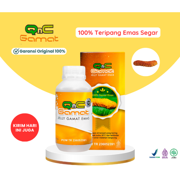 Qnc Jelly Gamat Gold 100% Original Medicine for Kidney Stones, Kidney ...