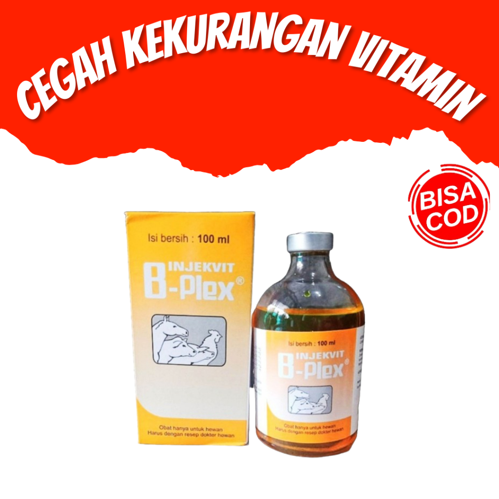 Injection B PLEX 100ml VITAMIN B Complex 100ml MEDION Increases Animal ...