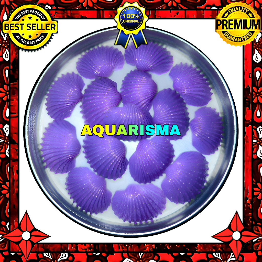 UNGU Decorations AND COLLECTIONS - BIVALVIA PURPLE SHELLS GRANOSA ...