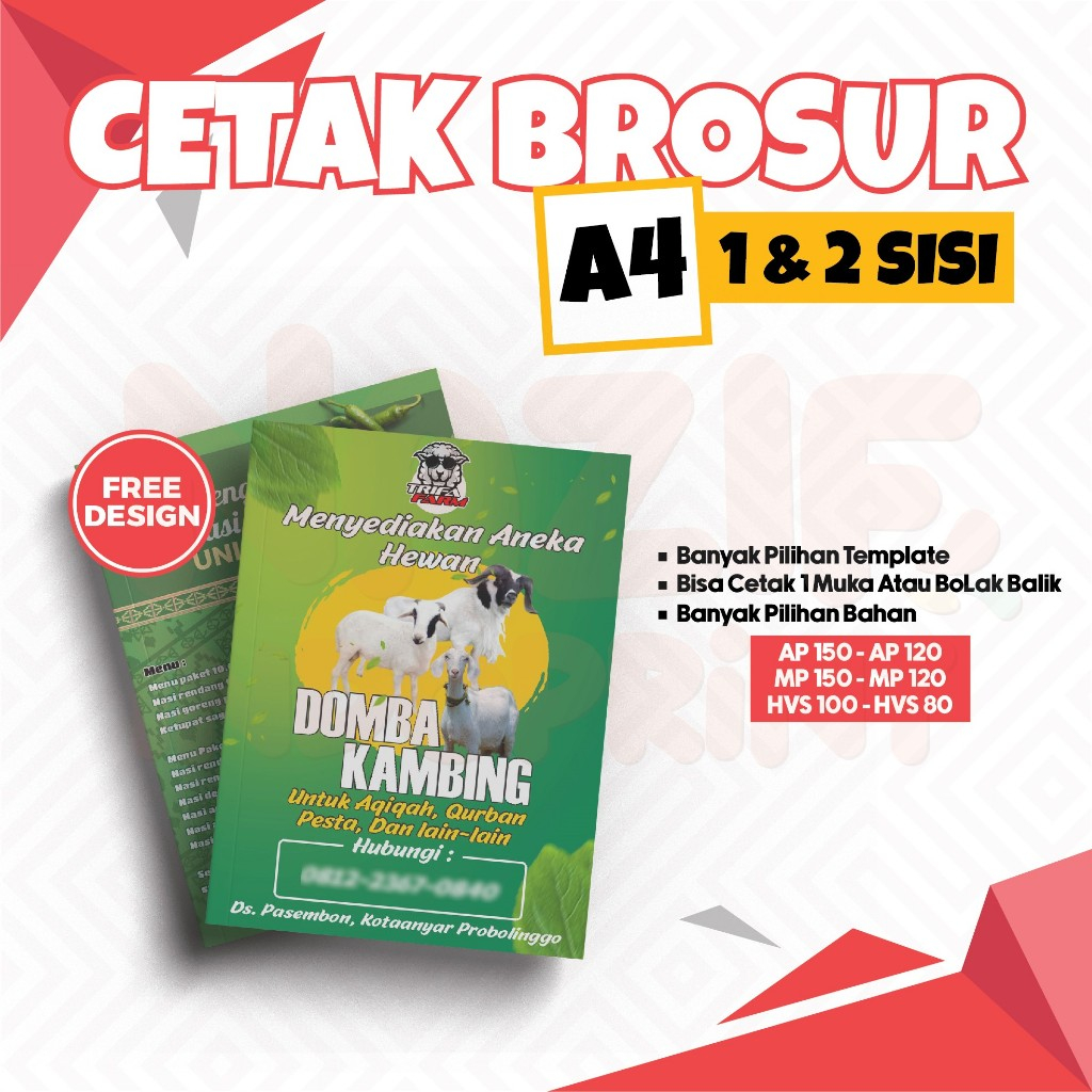 [Design Back And Forth] Custom Design A4 Brochure/Print A4 Size Folding Brochure Custom Free ...