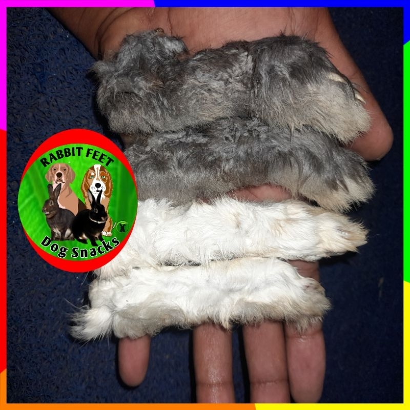 Rabbit feet/rabbit feet dehydrated Dog snack | Shopee Philippines
