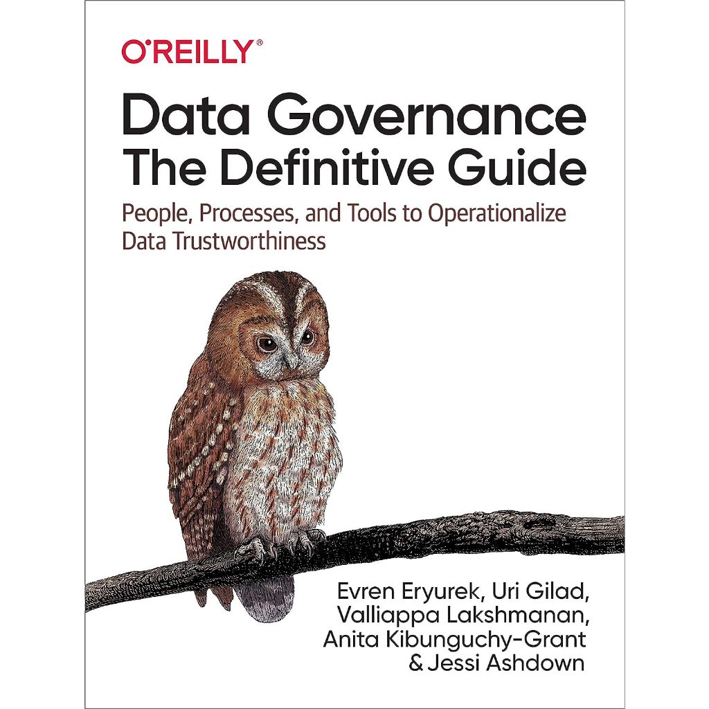 Data Governance: The Definitive Guide: People, Processes, and Tools to ...