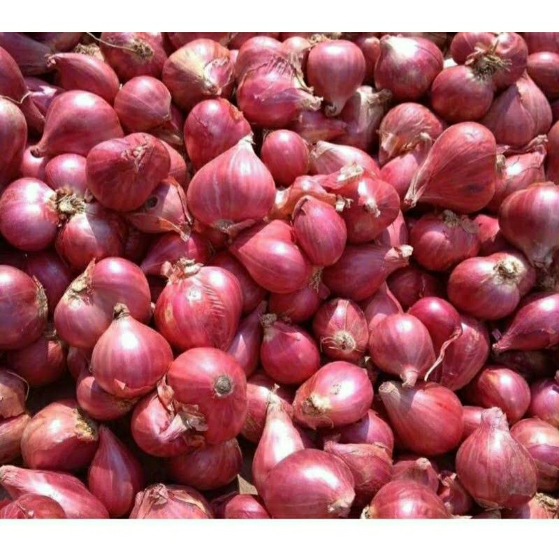 MERAH Super jumbo Shallots Pack Of 500g | Shopee Philippines