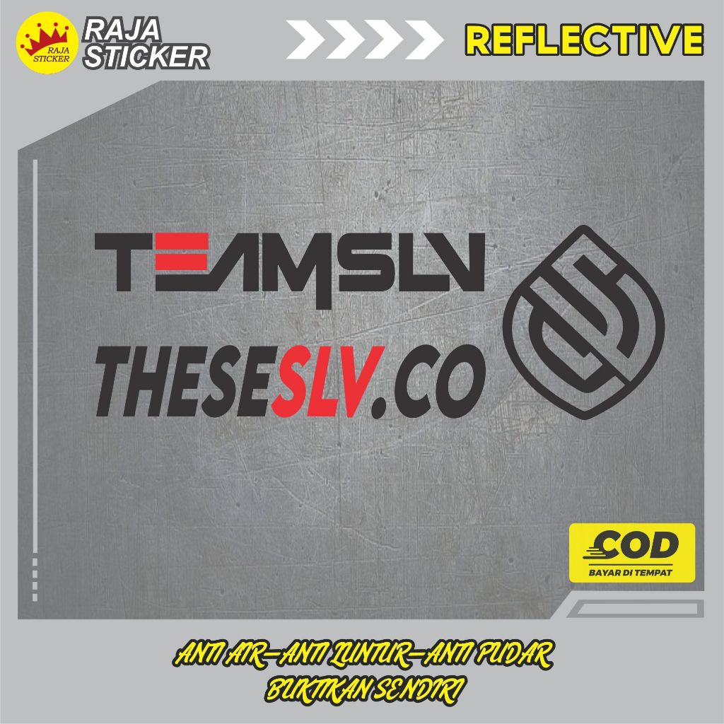 3 PCS THESESLV.CO TEAMSLV LOGO Motorcycle Pack Stickers | Shopee ...