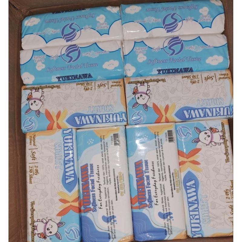 Tissue 250 sheets 2 ply / facial Tissue 250 sheets | Shopee Philippines