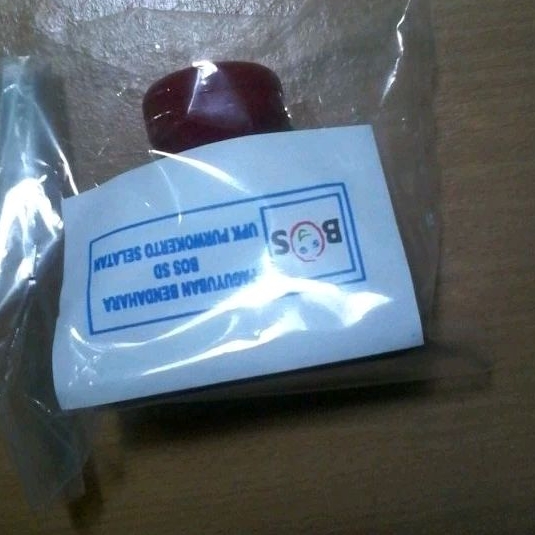 Cap. Boss SD Treasurer FLASH Stamp | Shopee Philippines