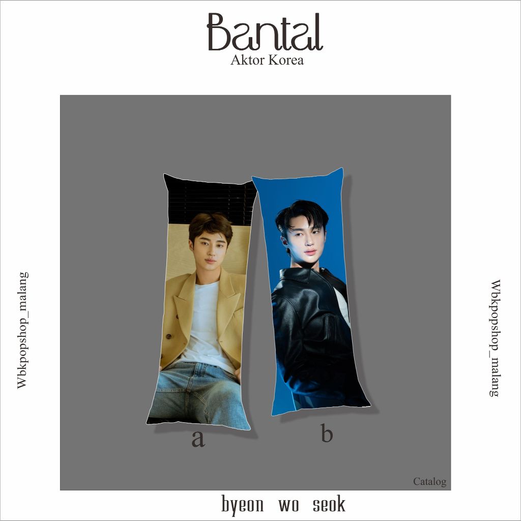 Korean ACTOR BOLSTER Cha eunwoo.hwang in yeop jichang wook etc | Shopee ...