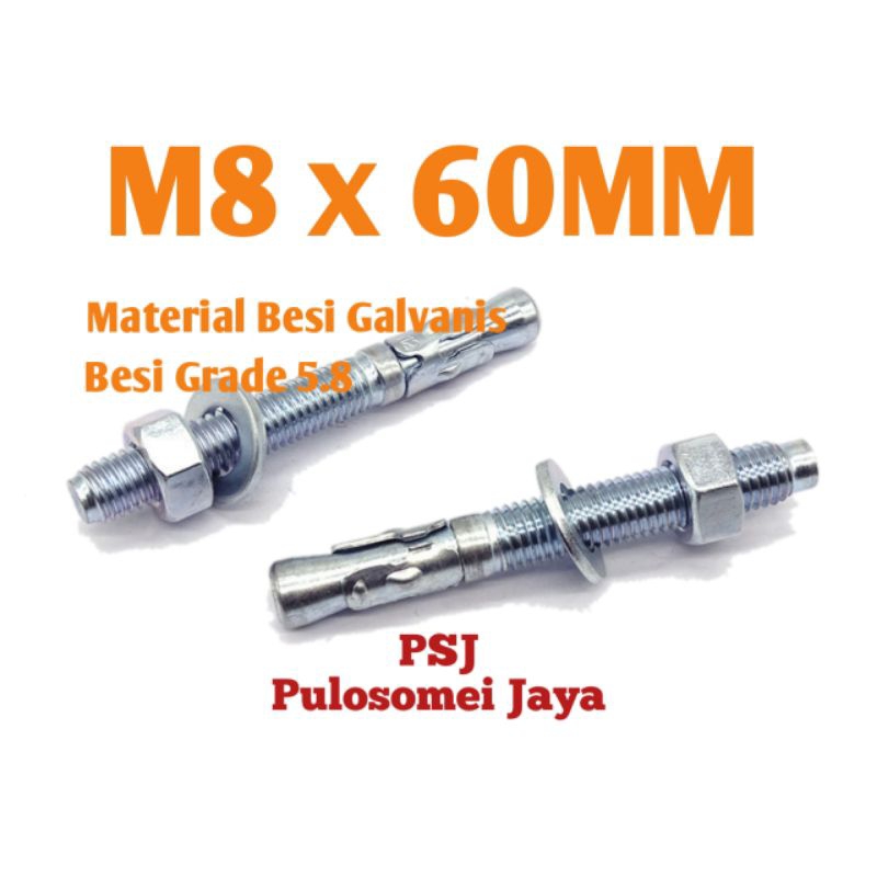 Trubolt Anchor M8 x 60/galvanized Wedge Anchor M8 x 60 | Shopee Philippines