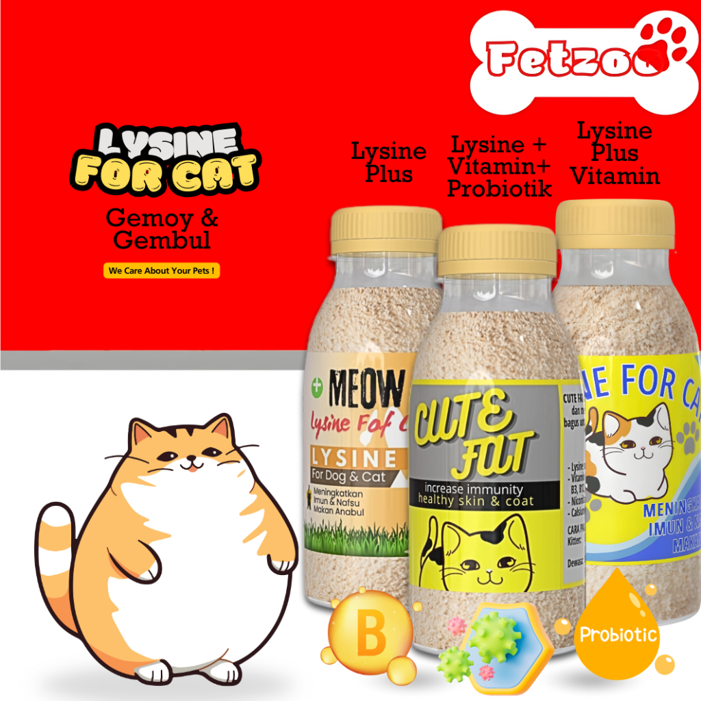 Vitamin Meow Anabul Lysine Plus Solution for Your Kitten Cats Bear Fast ...