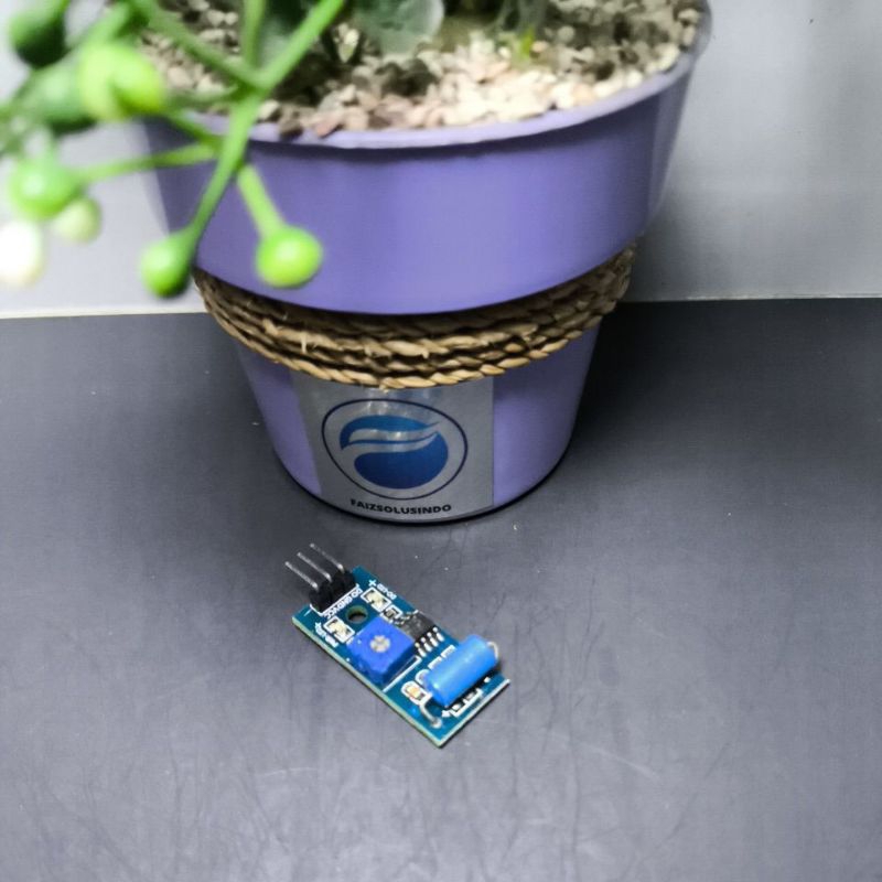 Vibration Sensor for Earthquake Car Motorcycle Alarm Module SW420 NC ...